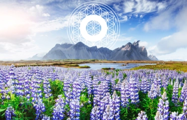 The Marbella Club Hotel: A Timeless Icon of Costa del Sol Glamour and ...